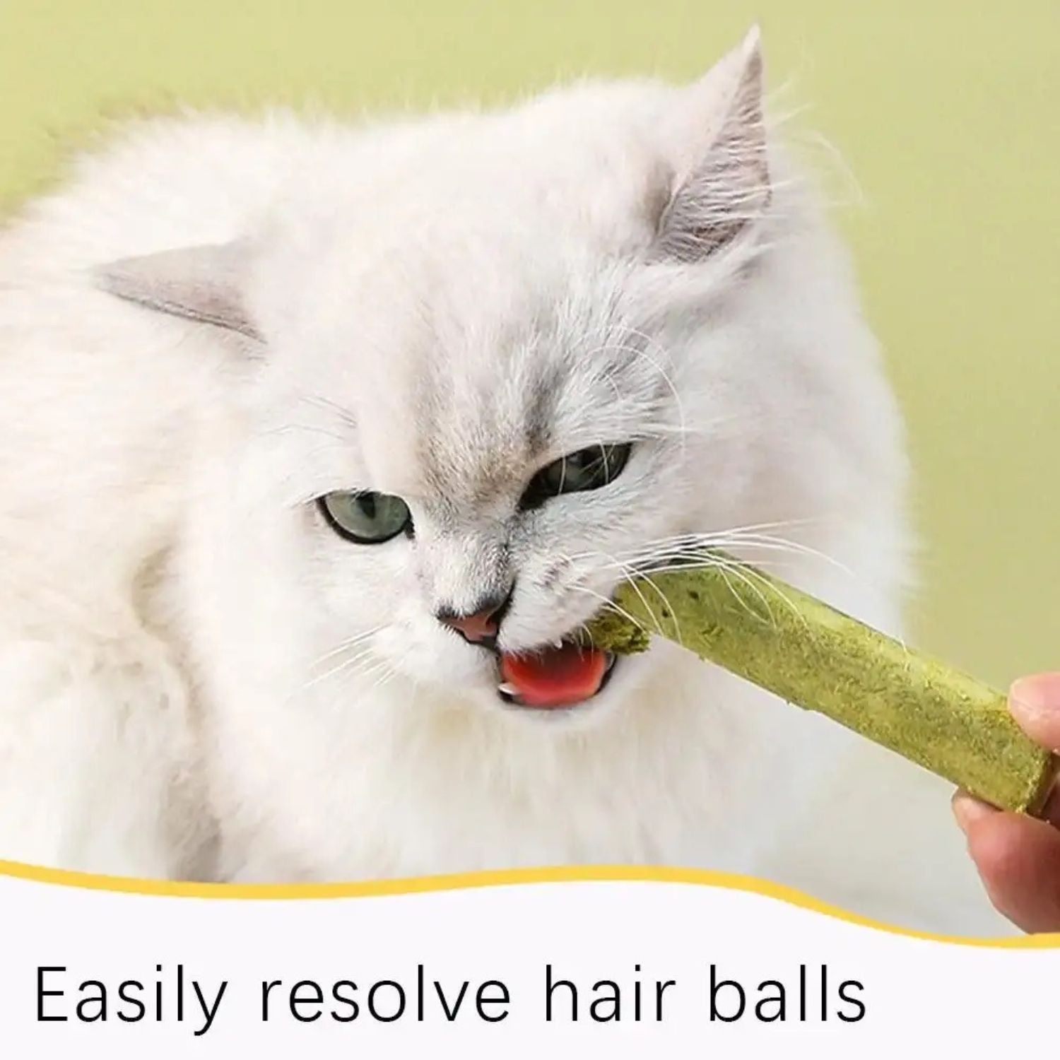 | BlyntConcepts| Cat Grass Scented Stick