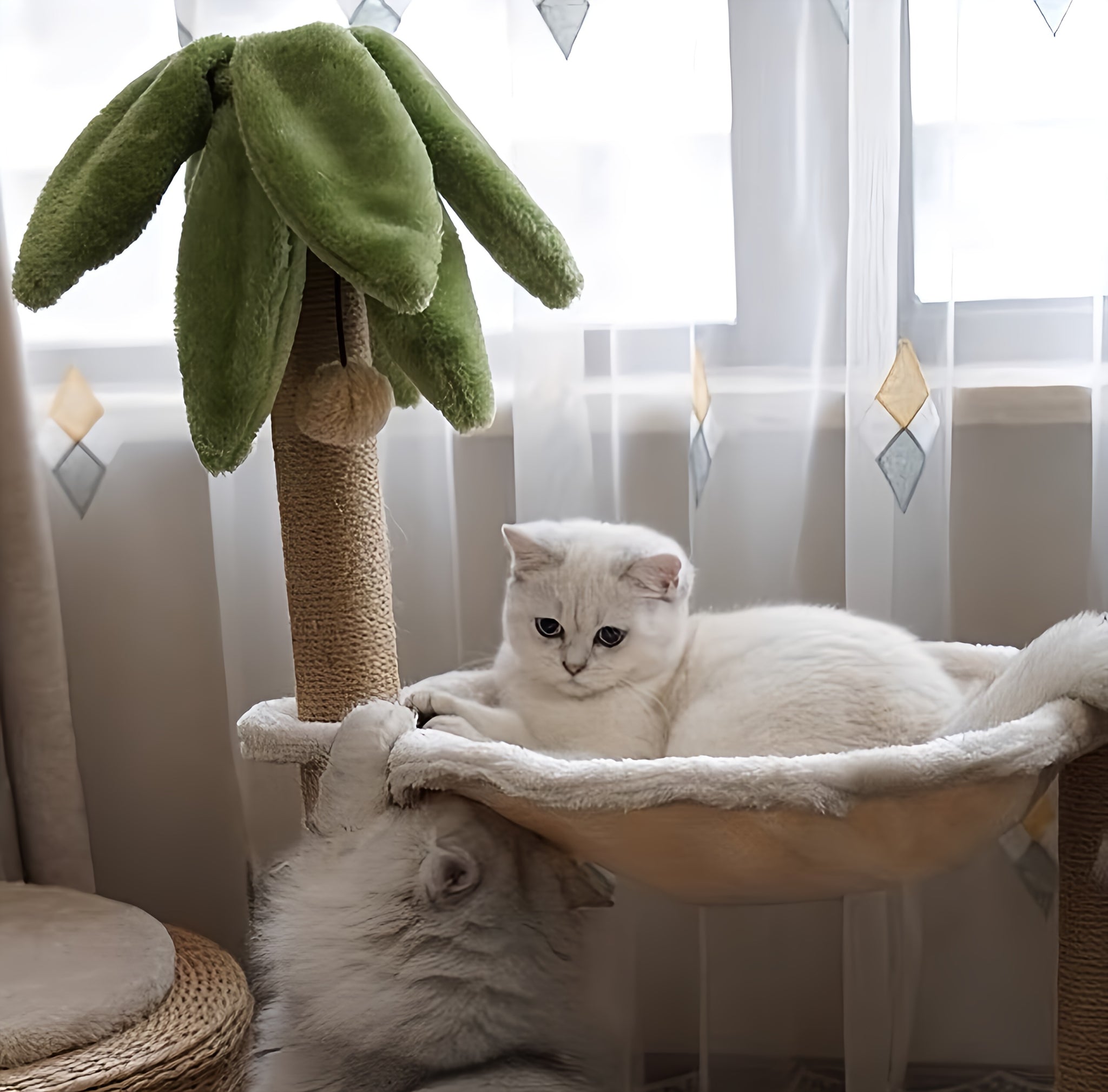 Cat’s Scratching Palm Tree Bed